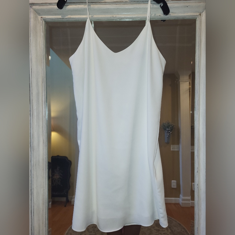 Ecu- Naked Zebra Dress - Gem